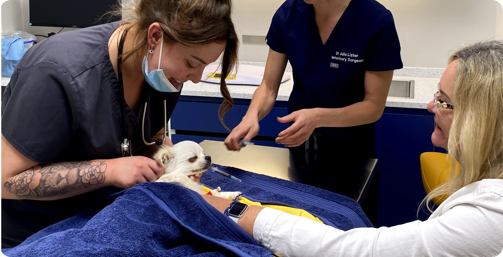 Our Veterinary Services | Hello Vet